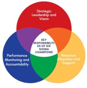 Champion in Six Sigma: Leadership Excellence and Process Improvement