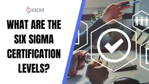 What are the Six Sigma Certification Levels?
