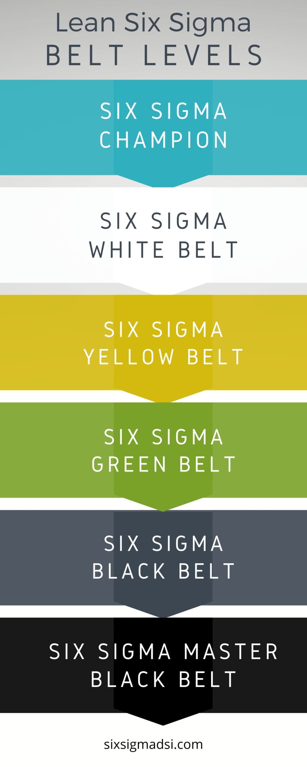 The Lean Six Sigma Certification Belt Order The Lean Six Sigma Certification Belt Order
