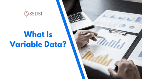 Understanding Variable Data: Definition and Importance