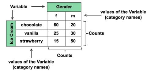 Understanding Variable Data: Definition and Importance