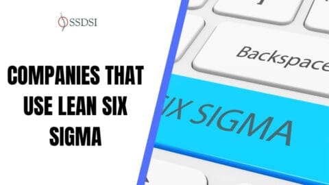Top Companies Using Lean Six Sigma for Success