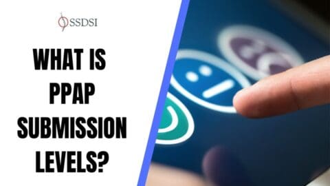 What Are The PPAP Submission Levels?