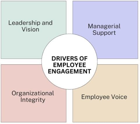 What is Employee Engagement? Definition & How to Improve