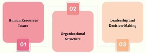 Organizational Change: Definition, Types & Management Strategies