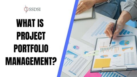 Project Portfolio Management : A Complete Guide