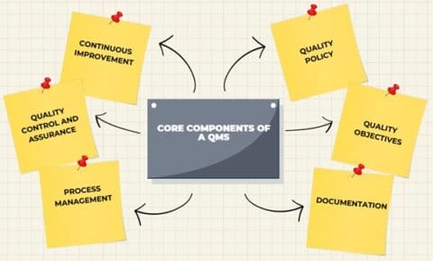 Quality Management System: QMS and ISO 9001 - SSDSI