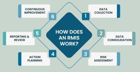 Risk Management Information System (RMIS): Manage Risk Easily