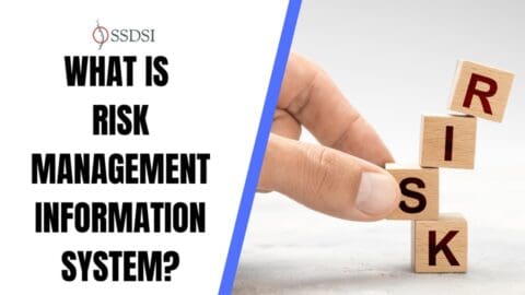 Risk Management Information System (RMIS): Manage Risk Easily
