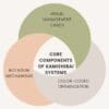 Kamishibai Board: Mastering Lean Visual Tools - SSDSI